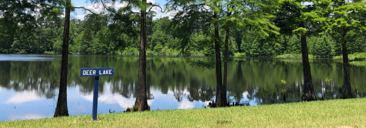 Deer Lake at Grand Central Park in Conroe, TX